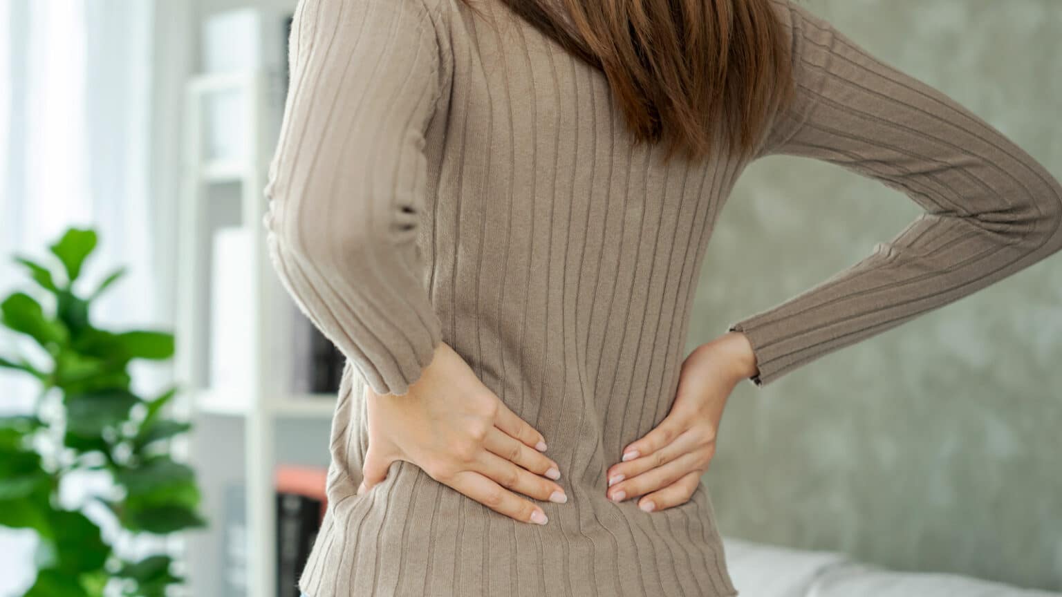 Herniated Disc: Can Physical Therapy Help? | The PTIS Blog